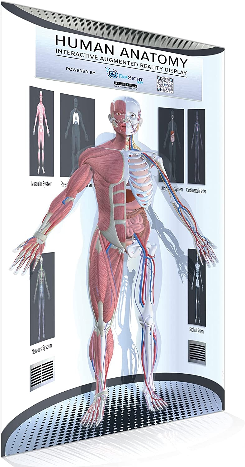 FarSight XR | Human Anatomy Interactive Augmented Reality Display (19 ...