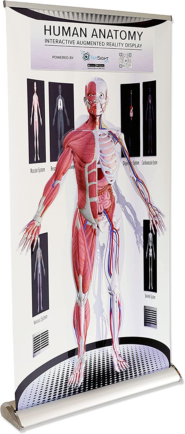 FarSight XR | Human Anatomy Interactive Augmented Reality Display (19 ...