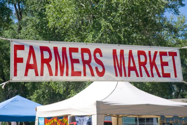 What Are the Key Elements of Successful Signage?